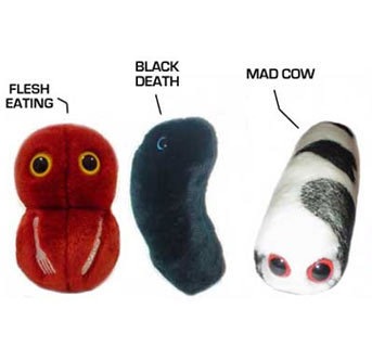 Stuffed Toys - Bacteria, Viruses and Parasites | Amusing Planet